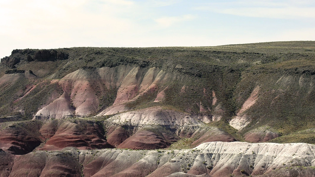 Exploring the magic of Petrified Forest National Park