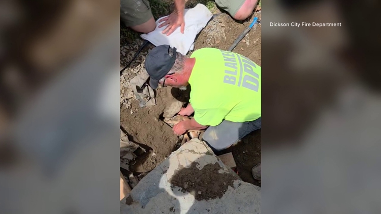 First responders rescue baby fawn in Dickson City