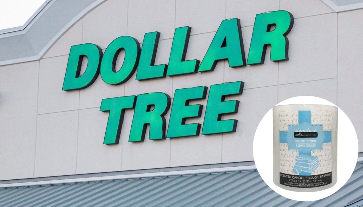 Dollar Tree clean girl aesthetic for $1.75 or less