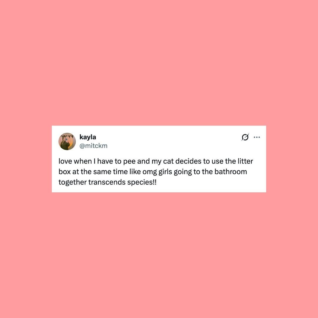 24 of the funniest posts about cats and dogs this week (May 30-June 5)