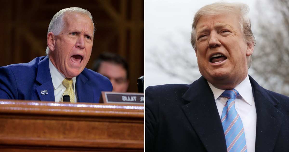 Trump calls Thom Tillis 'a loser' as clash erupts over AG nominee Todd ...