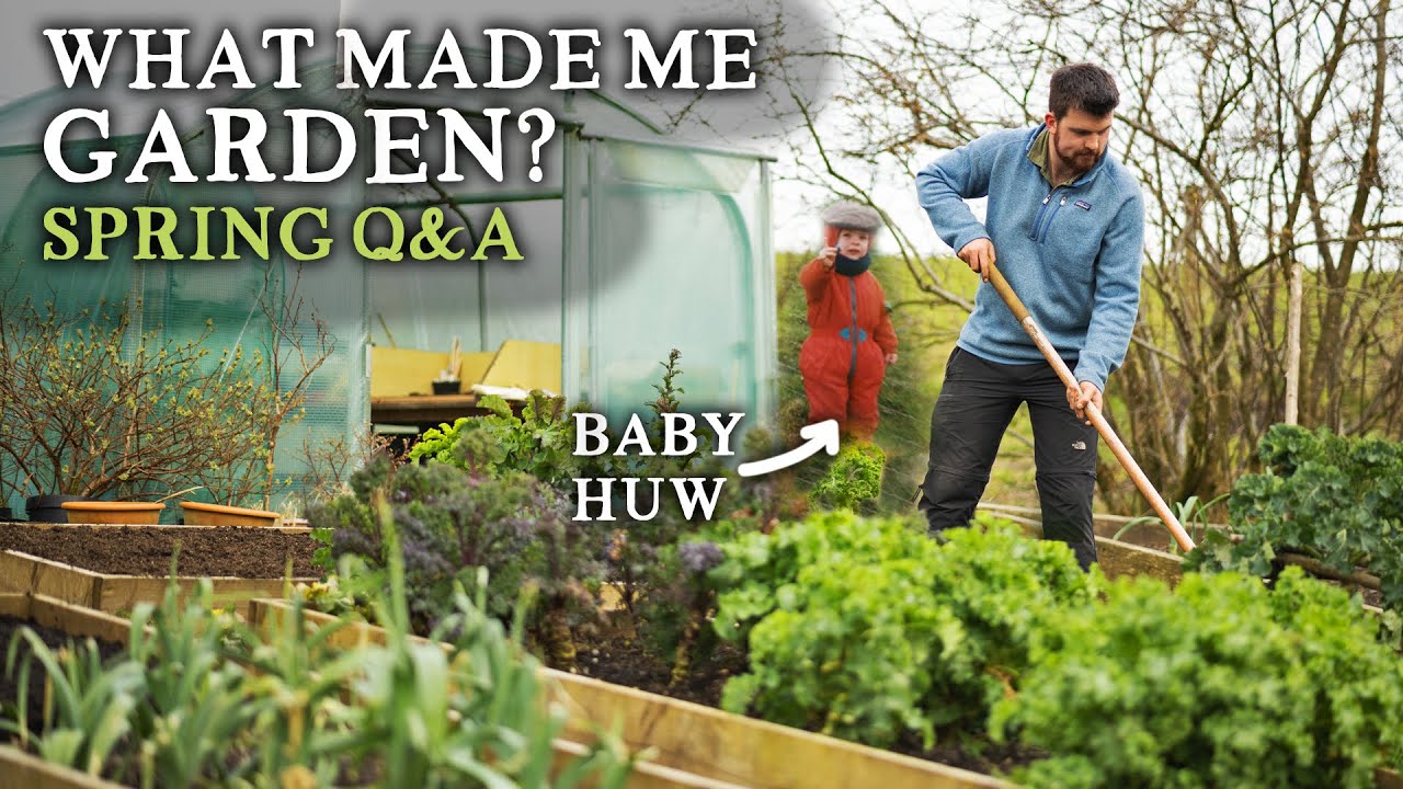 Gardening Q&A: Tips for spring planting