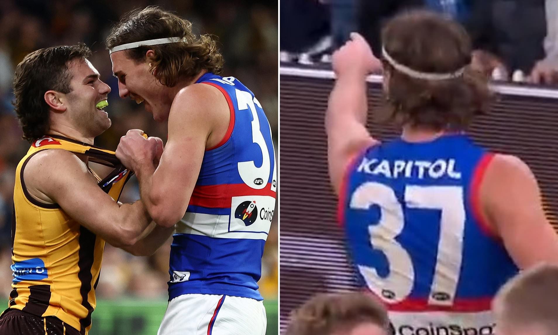 Bulldogs defender Michael Sellwood calls for fan to be banned after ...
