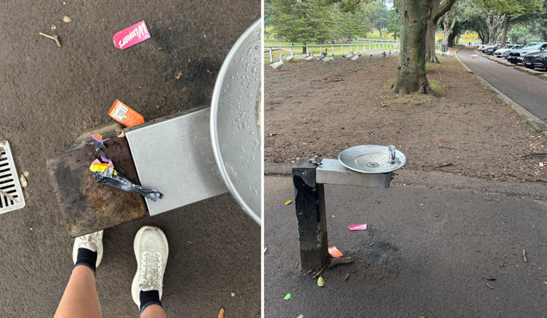 Aussies branded 'selfish' as new trend takes over parks