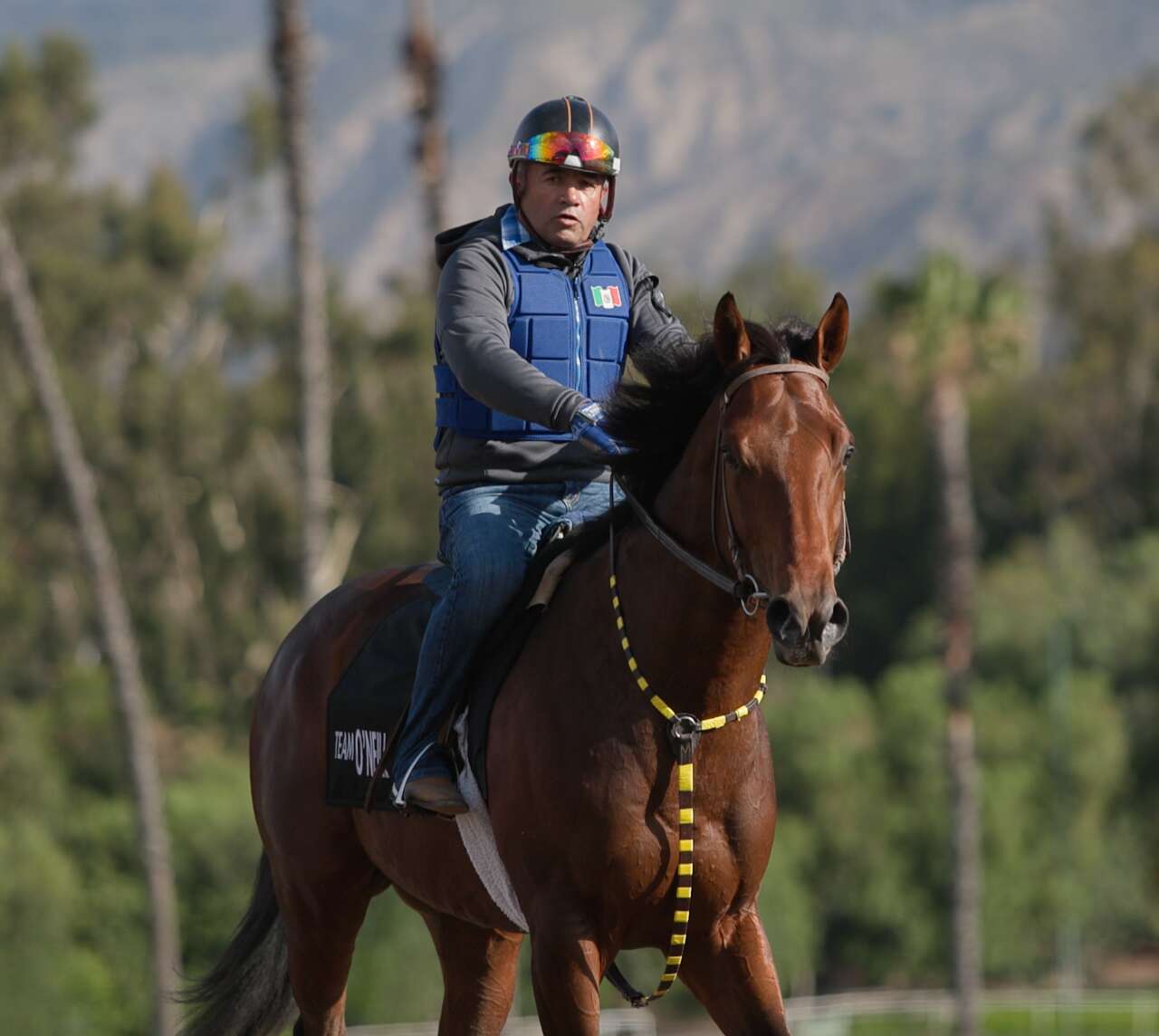 Celebrity-backed Run Fast Racing using music stars to draw younger fans ...