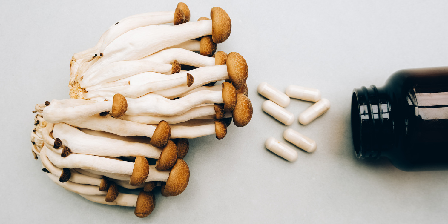 Magic mushroom compound enhances the effectiveness of a common nerve ...