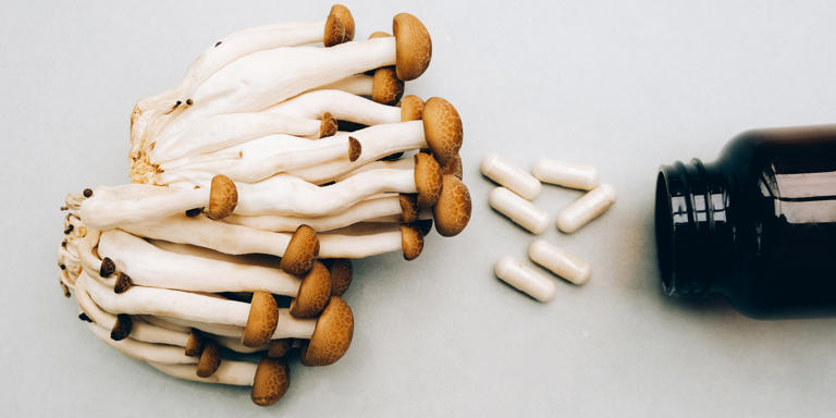 Magic mushroom compound enhances the effectiveness of a common nerve ...