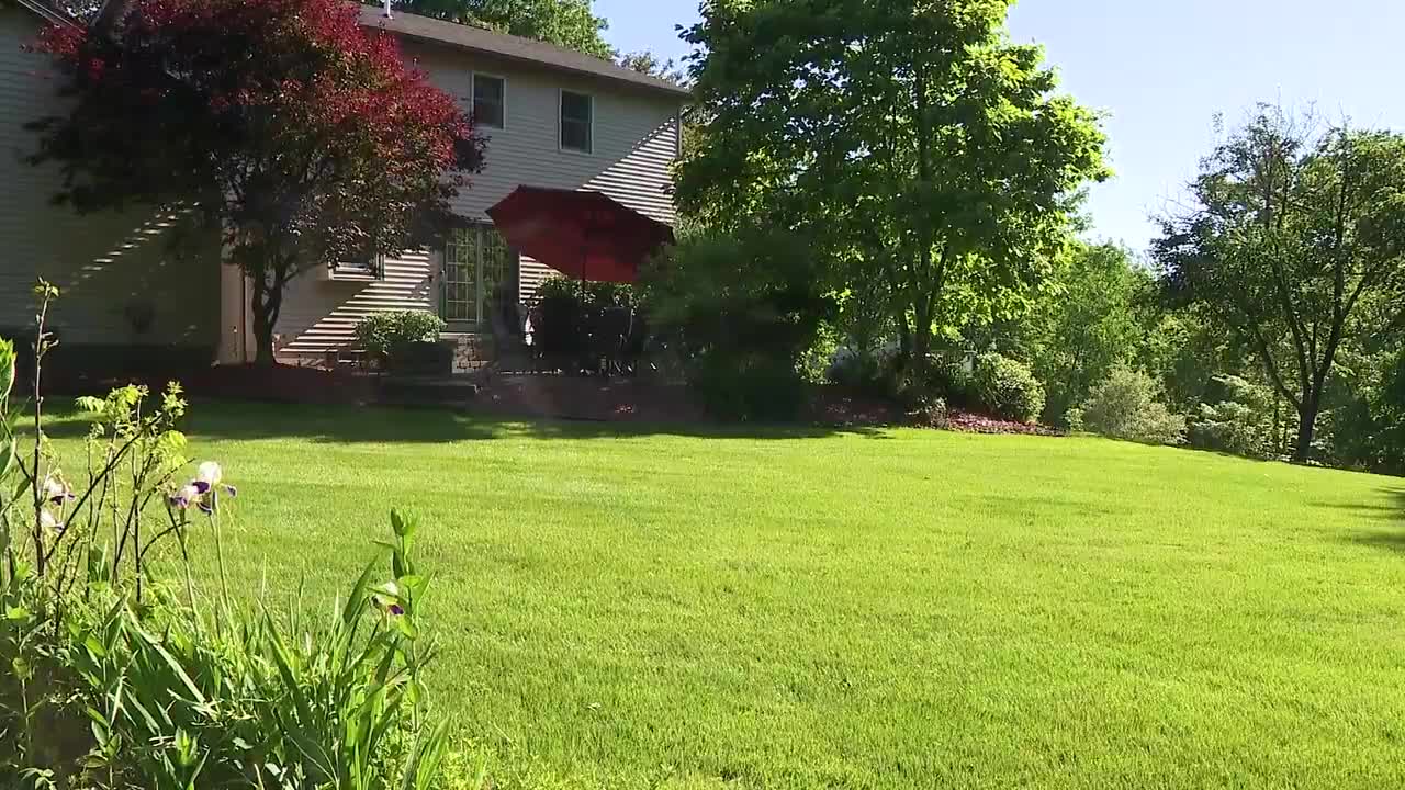 Are bobcat sightings on the rise in Northeast Ohio? What to know