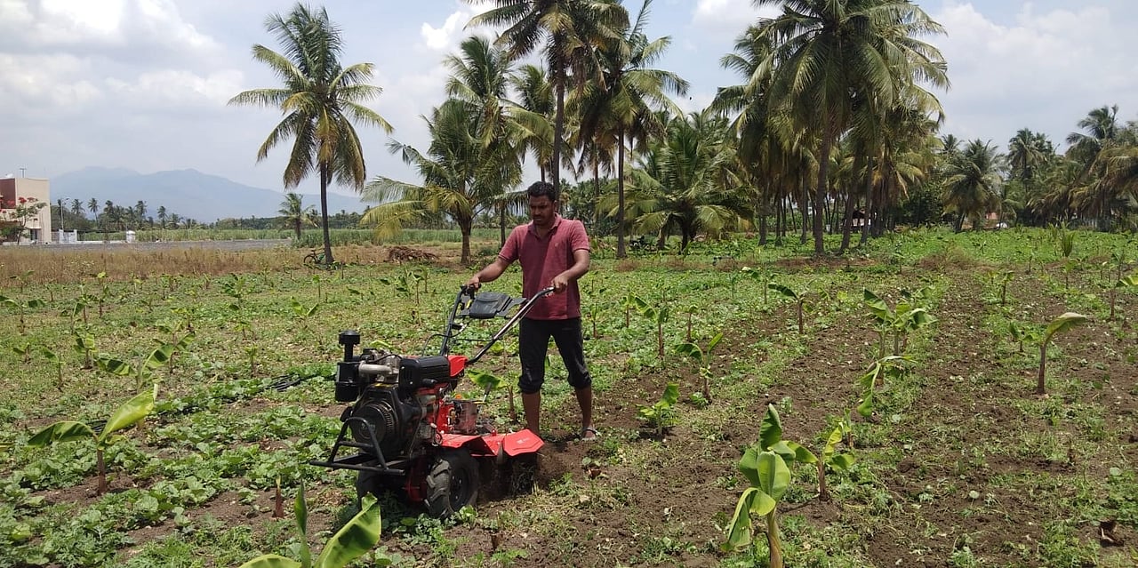 World Environment Day: Taking the green route to farm life