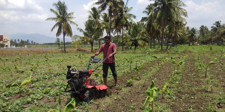 World Environment Day: Taking the green route to farm life