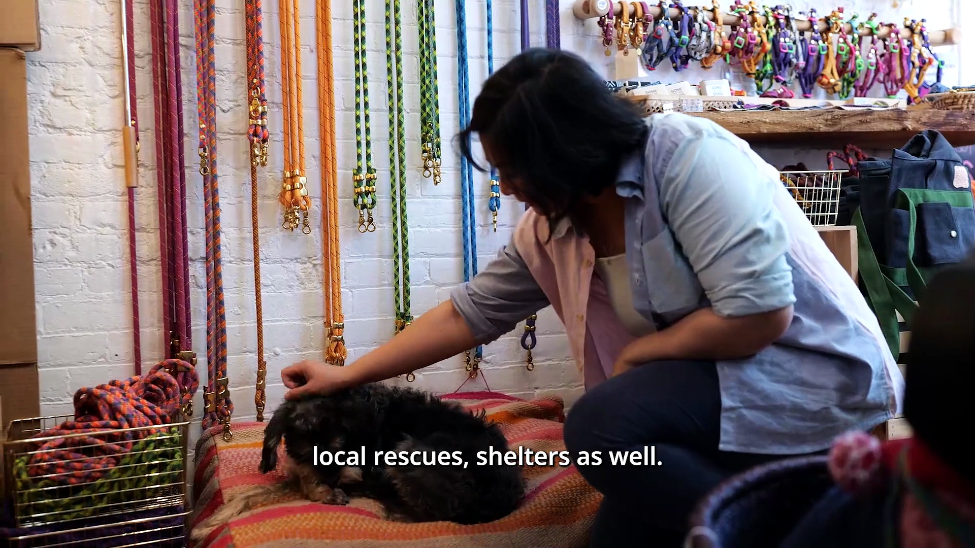 This pet startup is building a lot more than beautiful dog toys ...