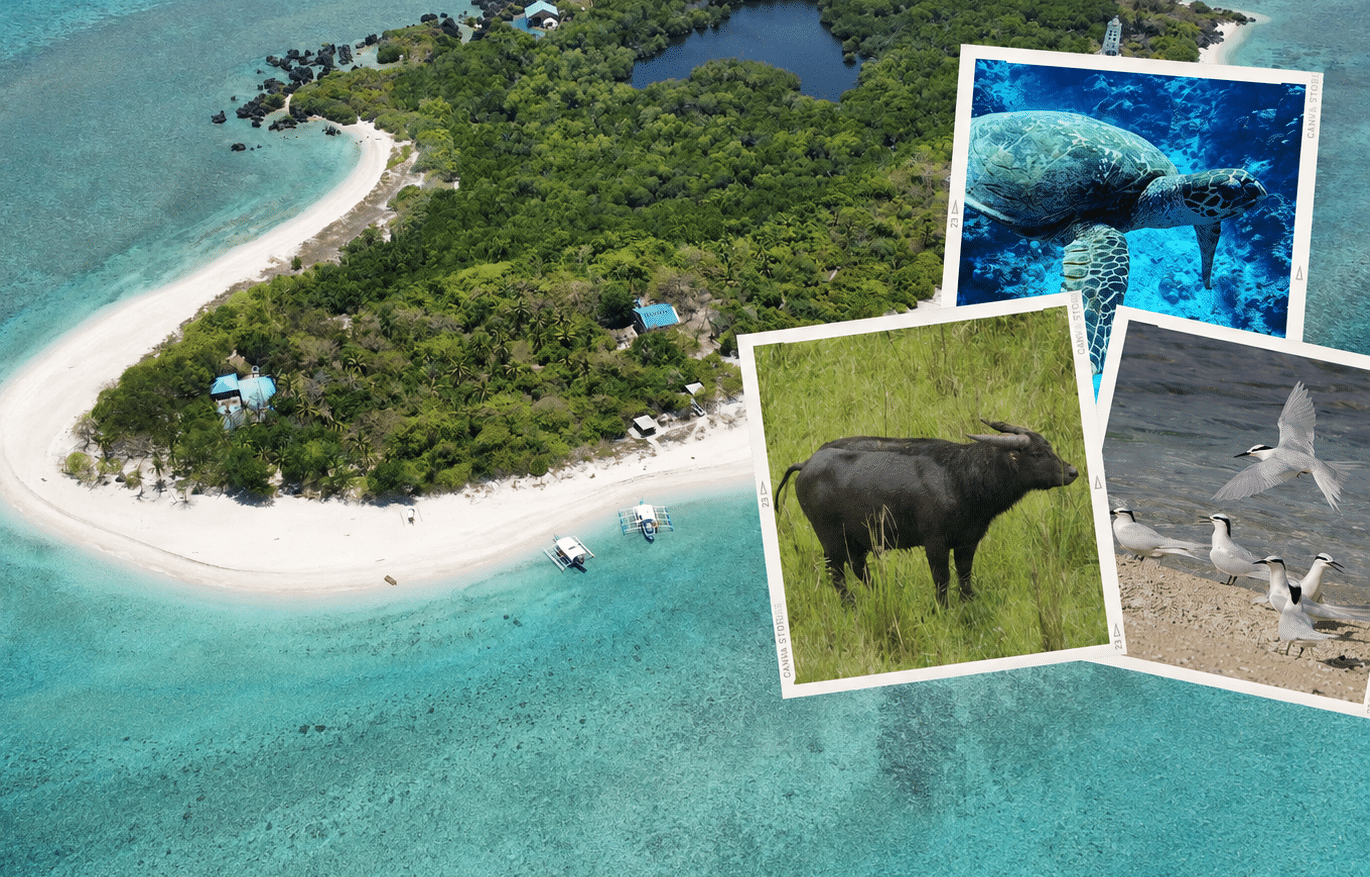 PH town among 14 new UNESCO biosphere reserves worldwide