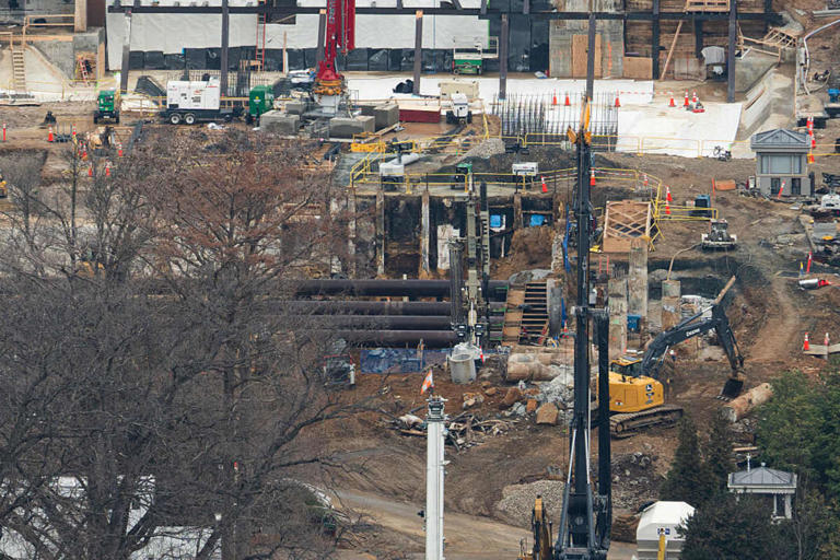 Trump could demolish Statue of Liberty if he wants to, DOJ attorney ...