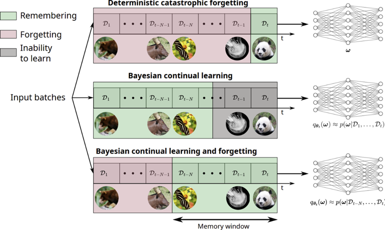 Continuous learning of AIs: towards an approach inspired by biological ...