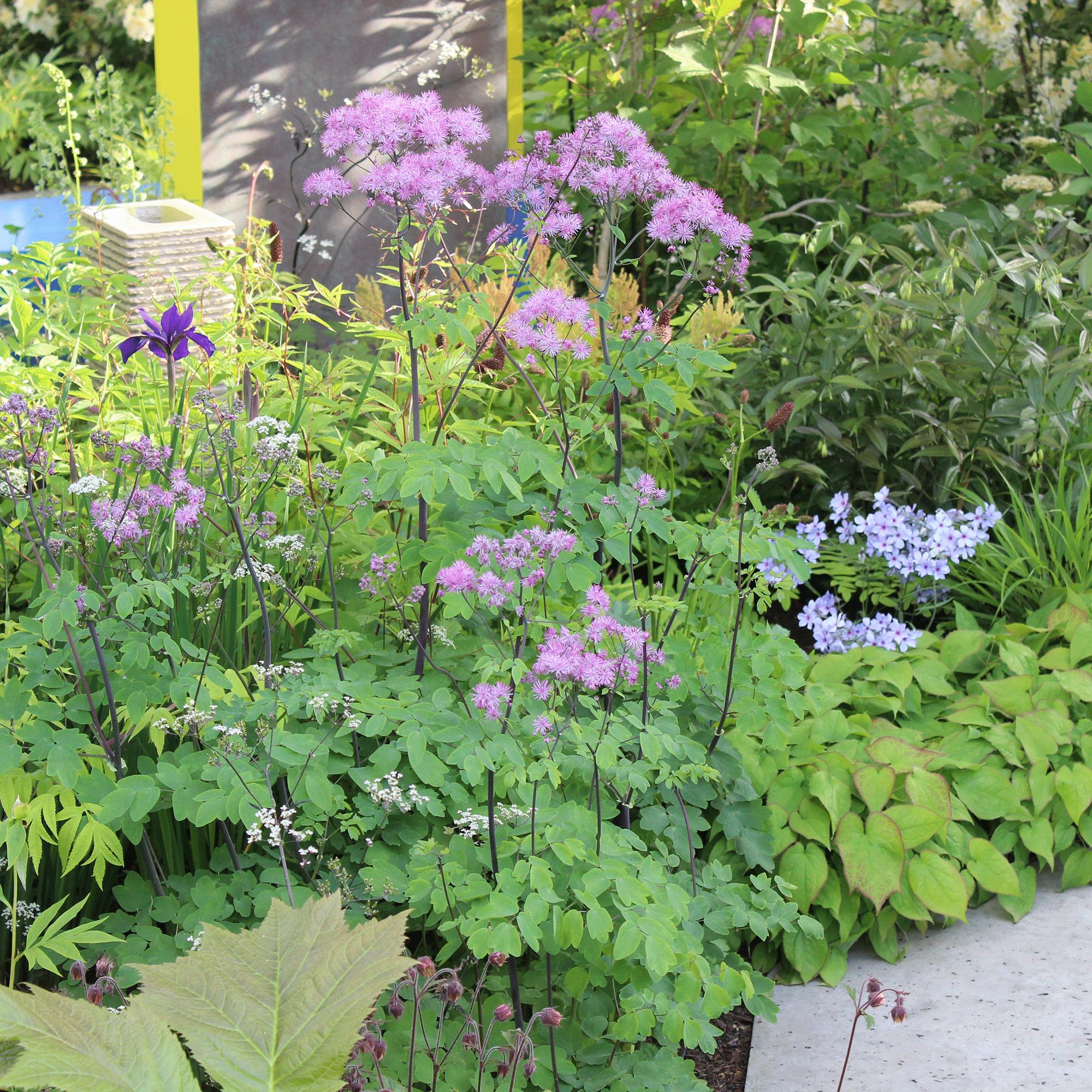 North-facing garden ideas to transform your outdoor space