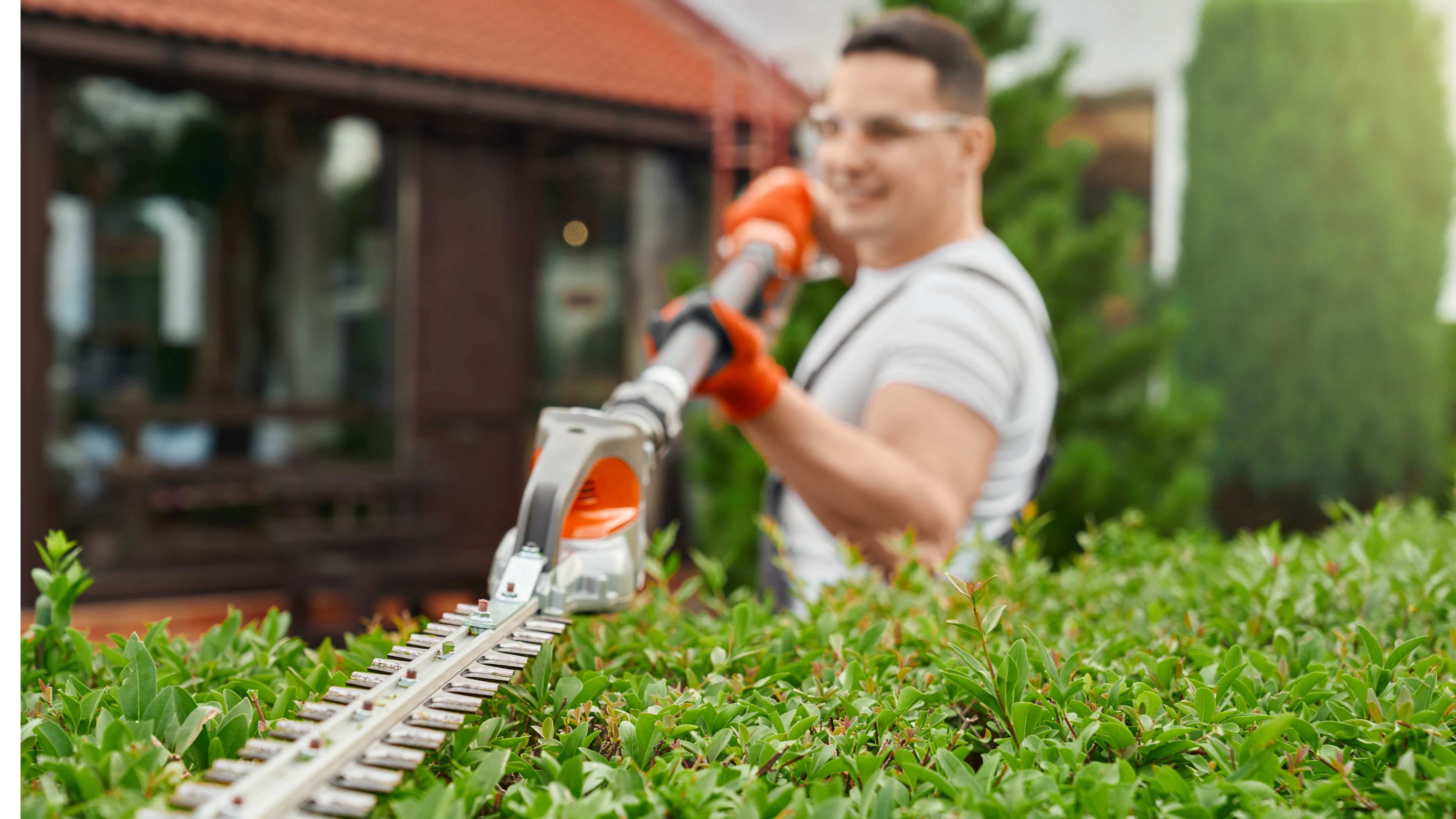 What can I do if my neighbor's hedge is too high and blocking my light?