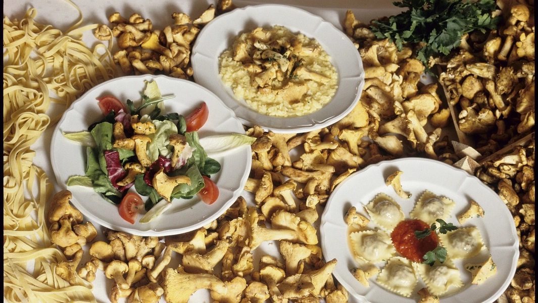 Bride refuses to change caterer despite cousin's mushroom dislike