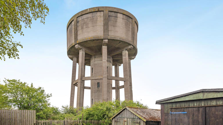Angst over water tower's future as auction looms