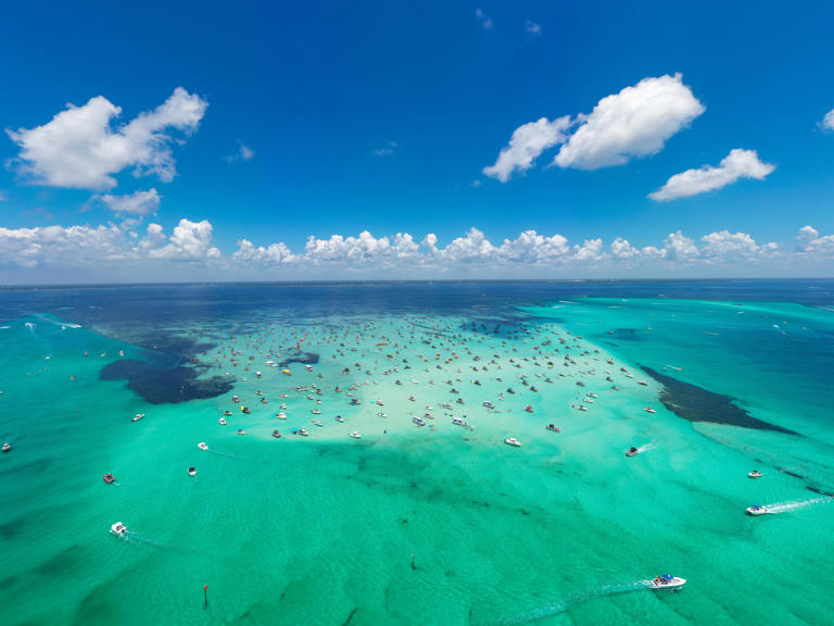 Safety agencies prepare for upcoming Crab Island takeover