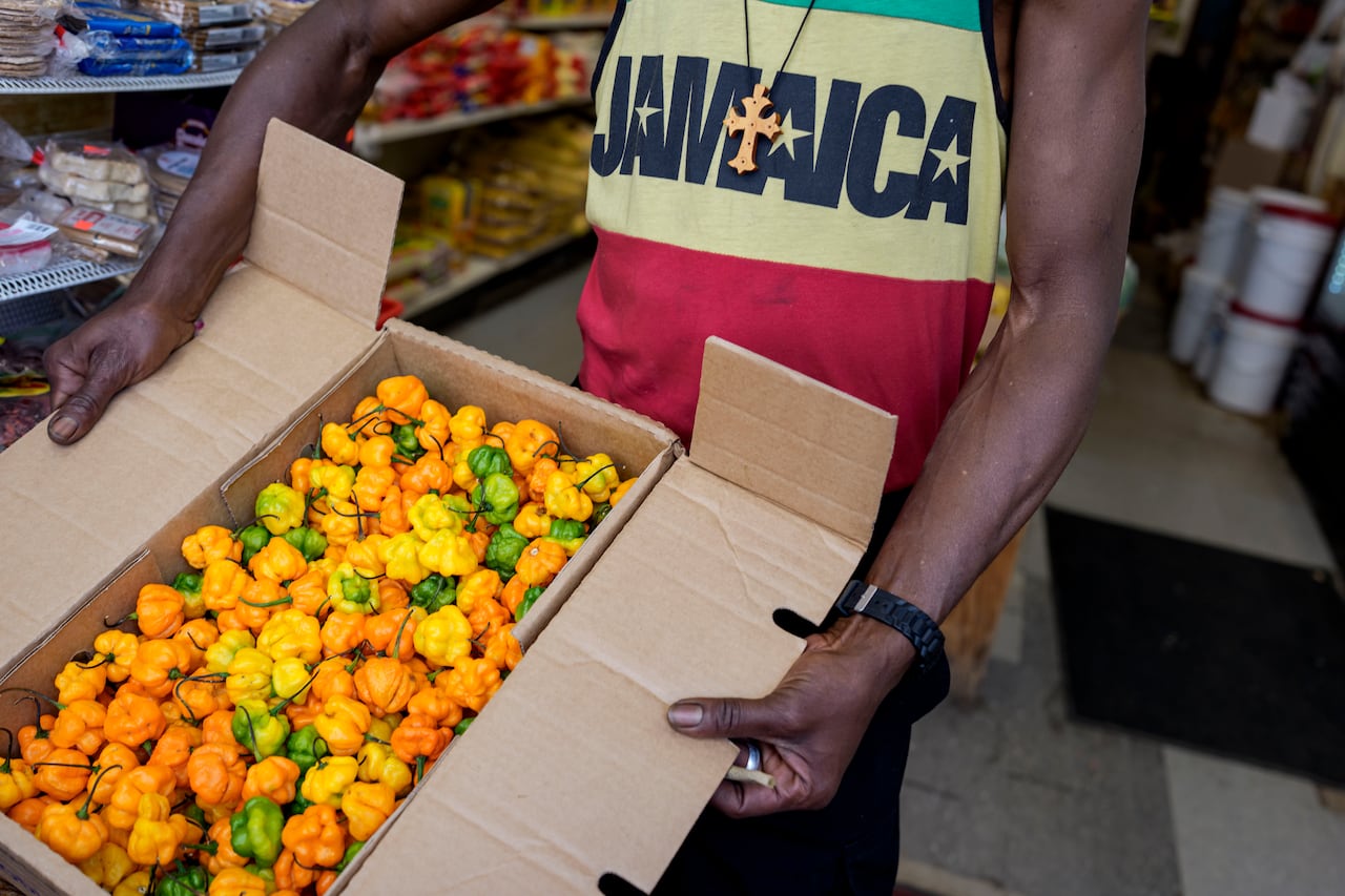 Jamaican scotch bonnet prices soar amid shortage, putting the squeeze ...