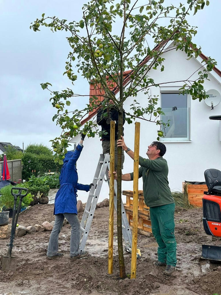 „Duell der Gartenprofis“: Gartenprofi aus Erftstadt von Anfang an Teil ...