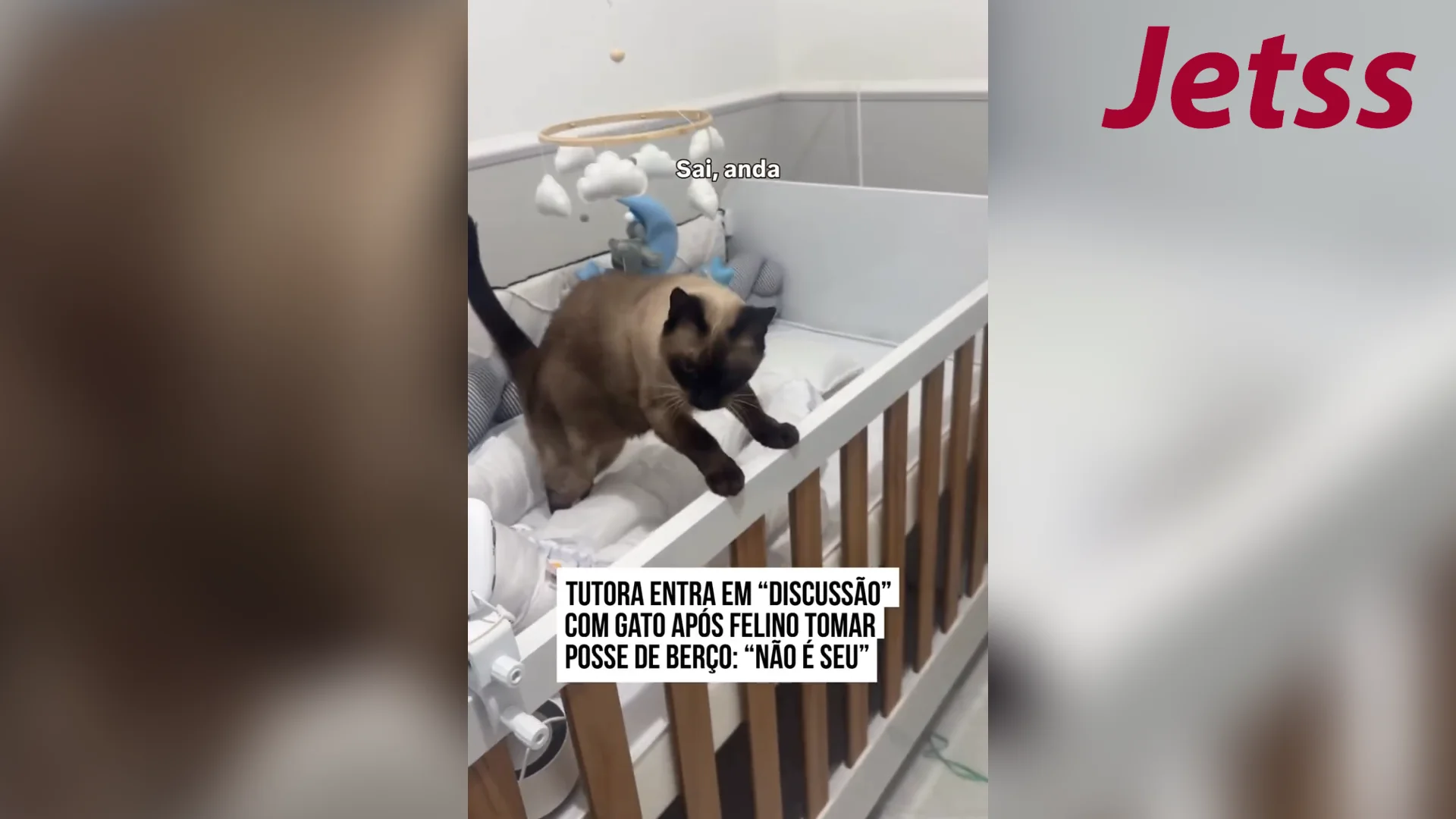 Tutora entra em "discussão" com gato após felino tomar posse de berço ...