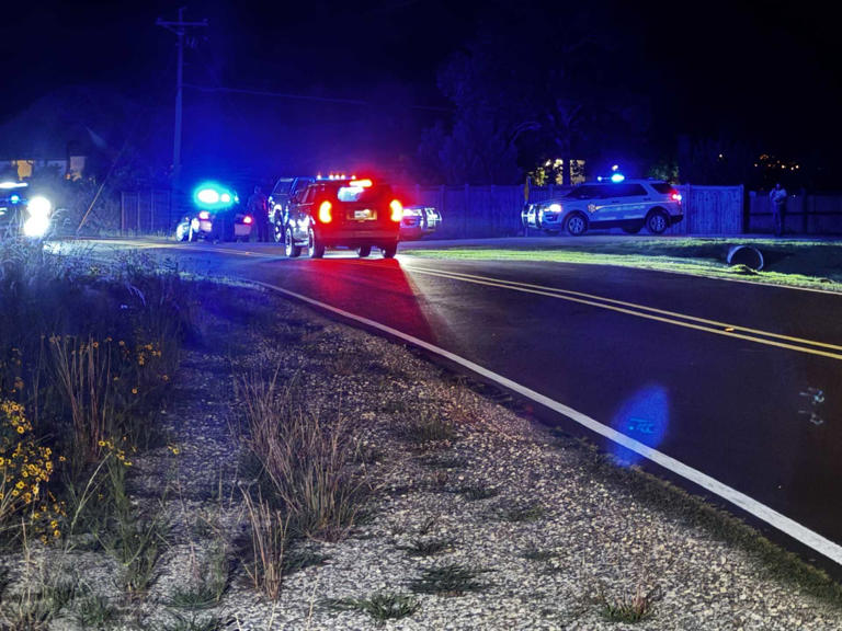 Man killed in Rankin County shooting; two suspects arrested, third sought