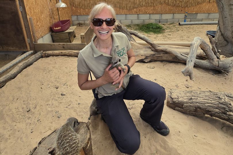 The mini Cheshire countryside zoo hailed a 'hidden treasure'