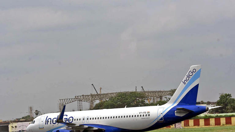 Bengaluru-Mumbai IndiGo flight delayed over an hour after bird hit