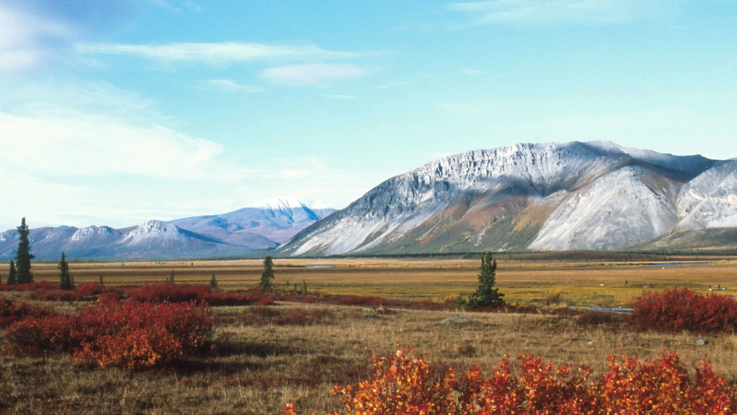 Sparse bidding marks Trump’s first ANWR lease sale