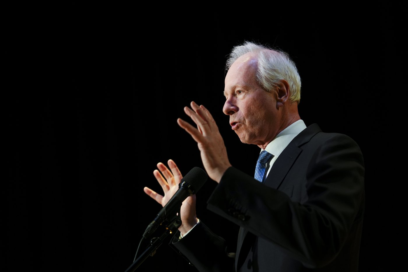 Stéphane Dion says Canada needs more diplomats to build ties with Europe