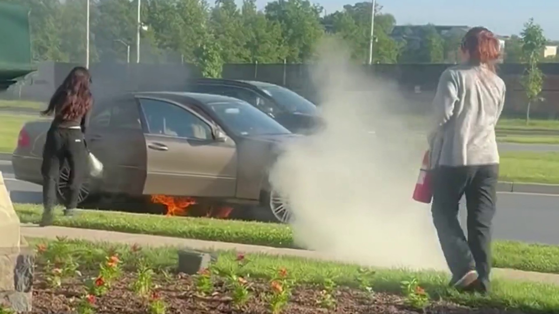 Dauntless veterinary workers race to save woman from burning car
