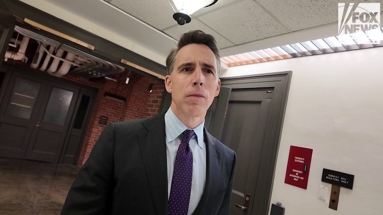 See it: Hawley on GOP senators who blocked SAVE Act: 'I just don't ...