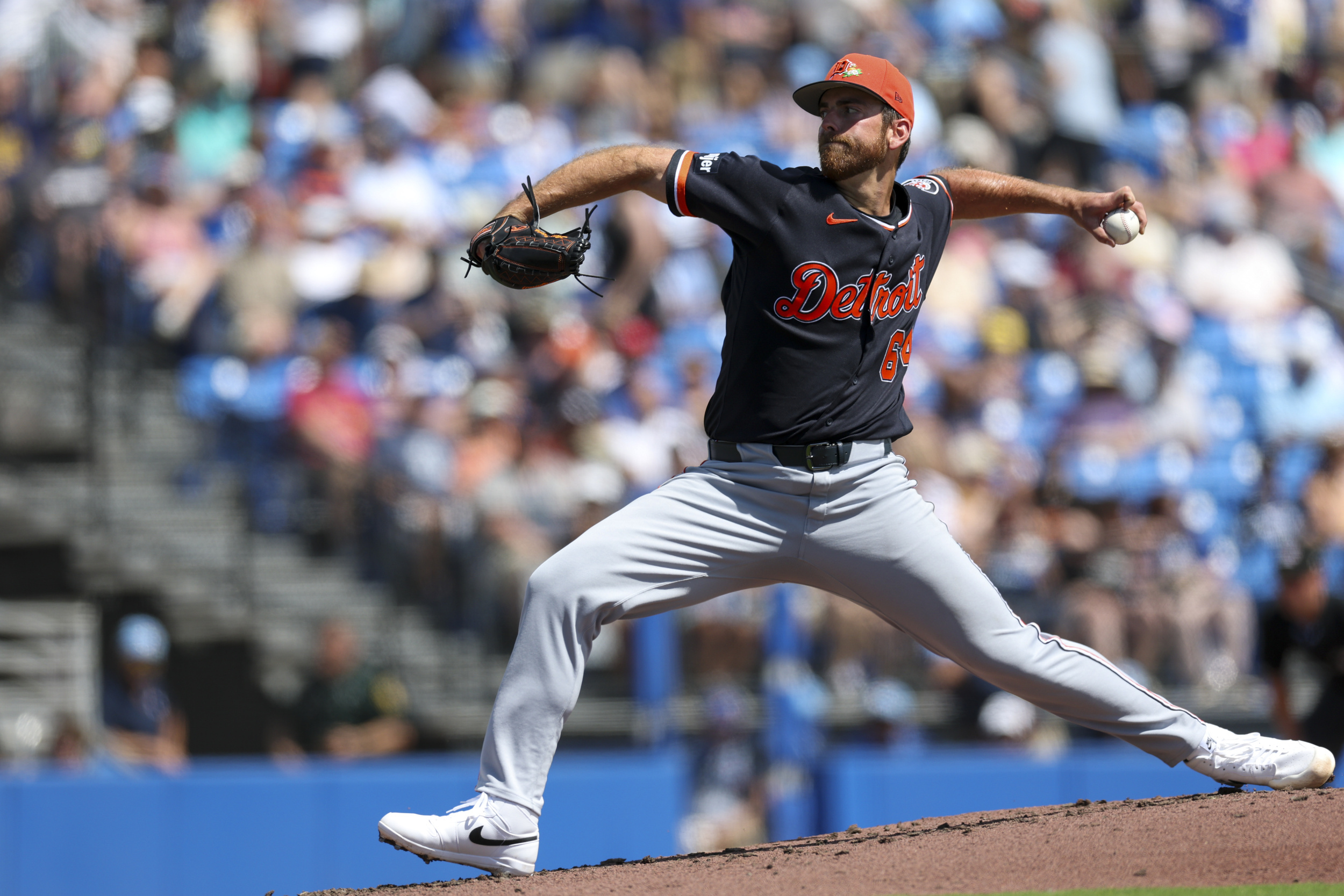 Tigers release Bryan Sammons, Dugan Darnell