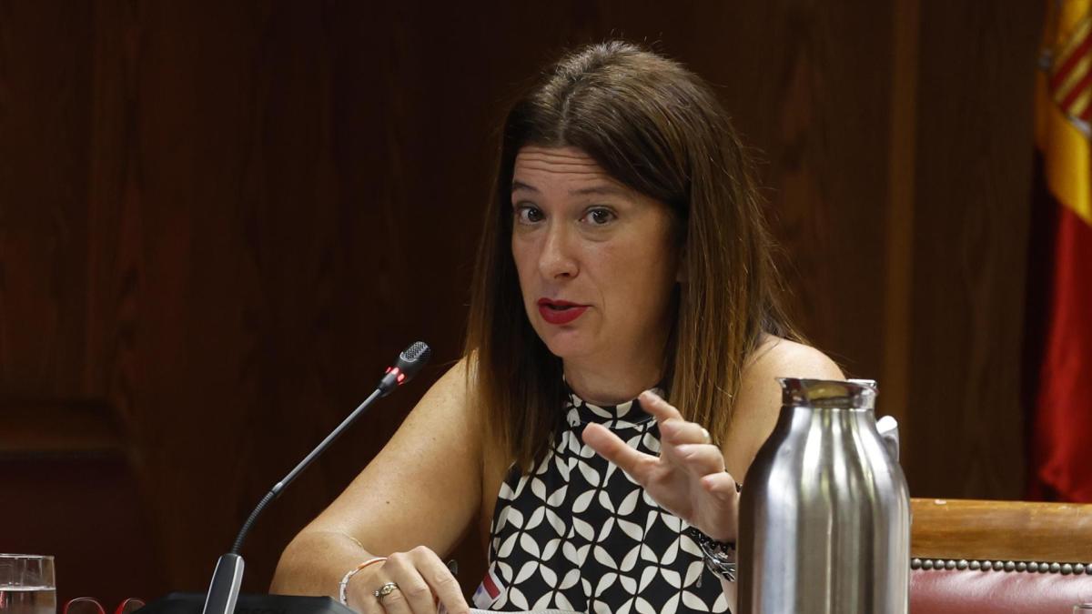 El modus operandi de Leire Díez dispara las sospechas sobre el voto por ...