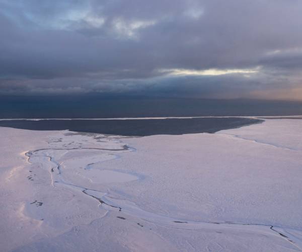 Alaska Arctic oil lease sale draws few bids