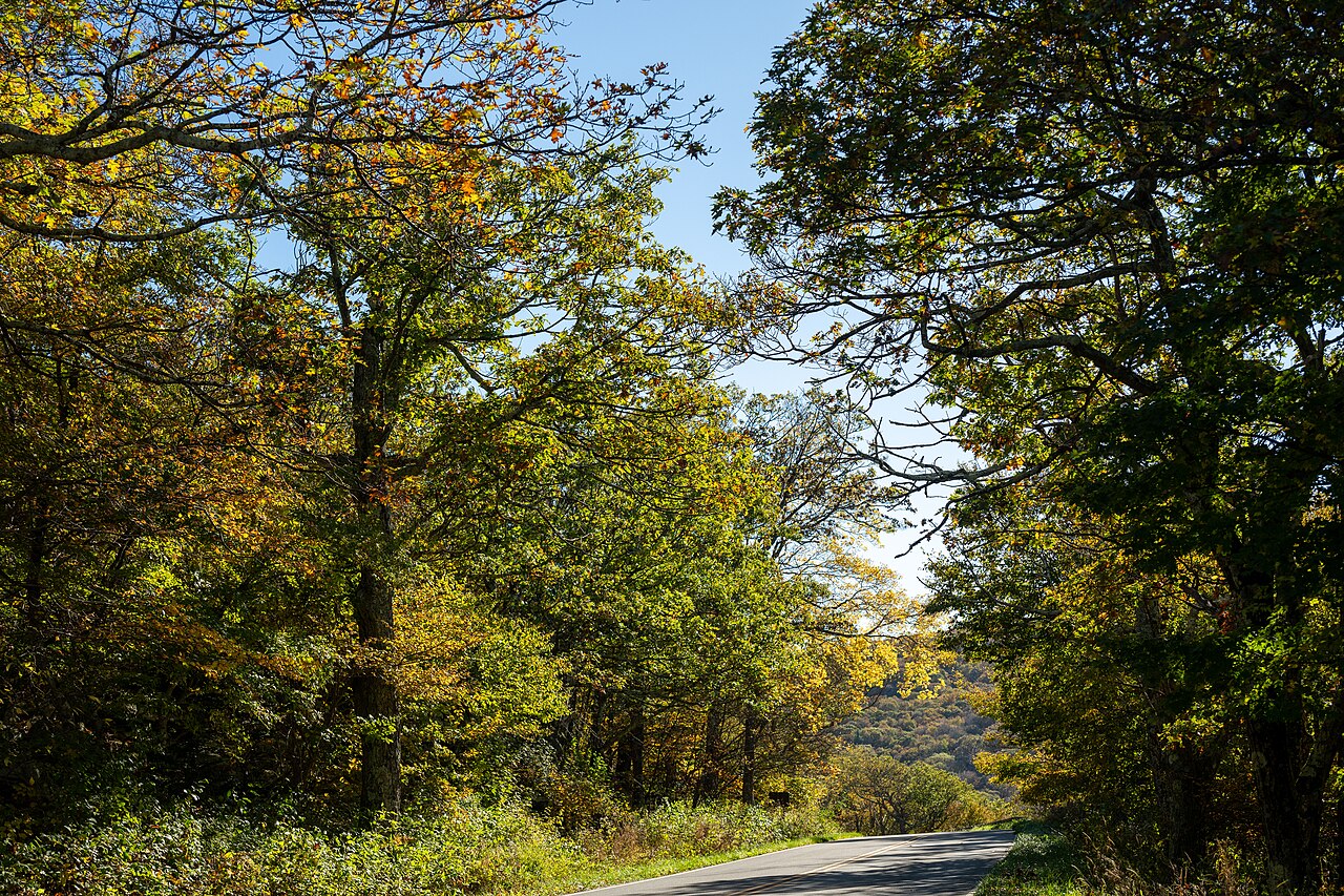 75 miles west of Washington, Virginia has waterfalls, bears, and 500 ...