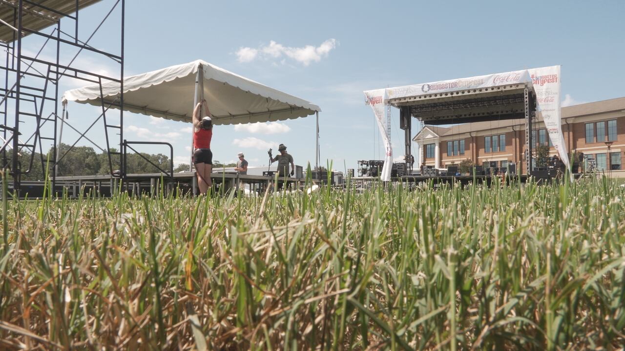 Alabaster CityFest is Saturday: What you need to know before you go