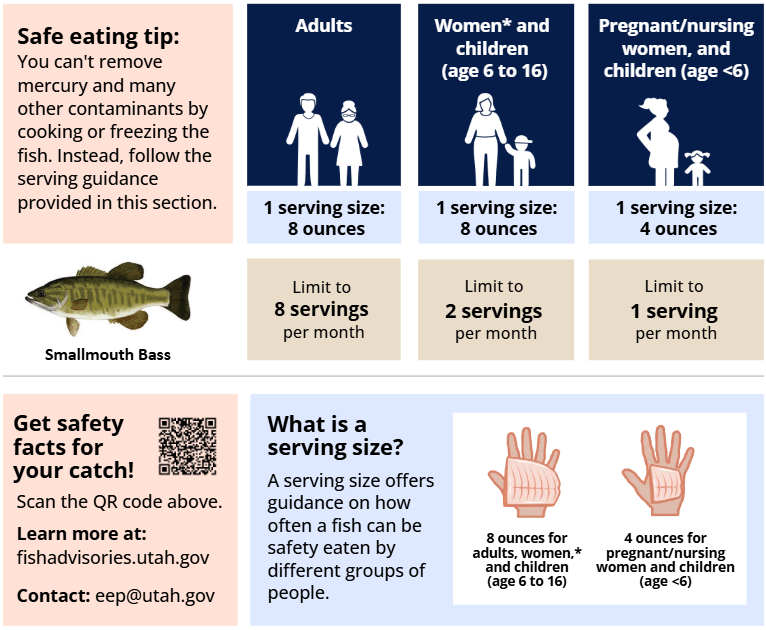 Look, hook, and cook: Anglers reminded to check fish consumption ...