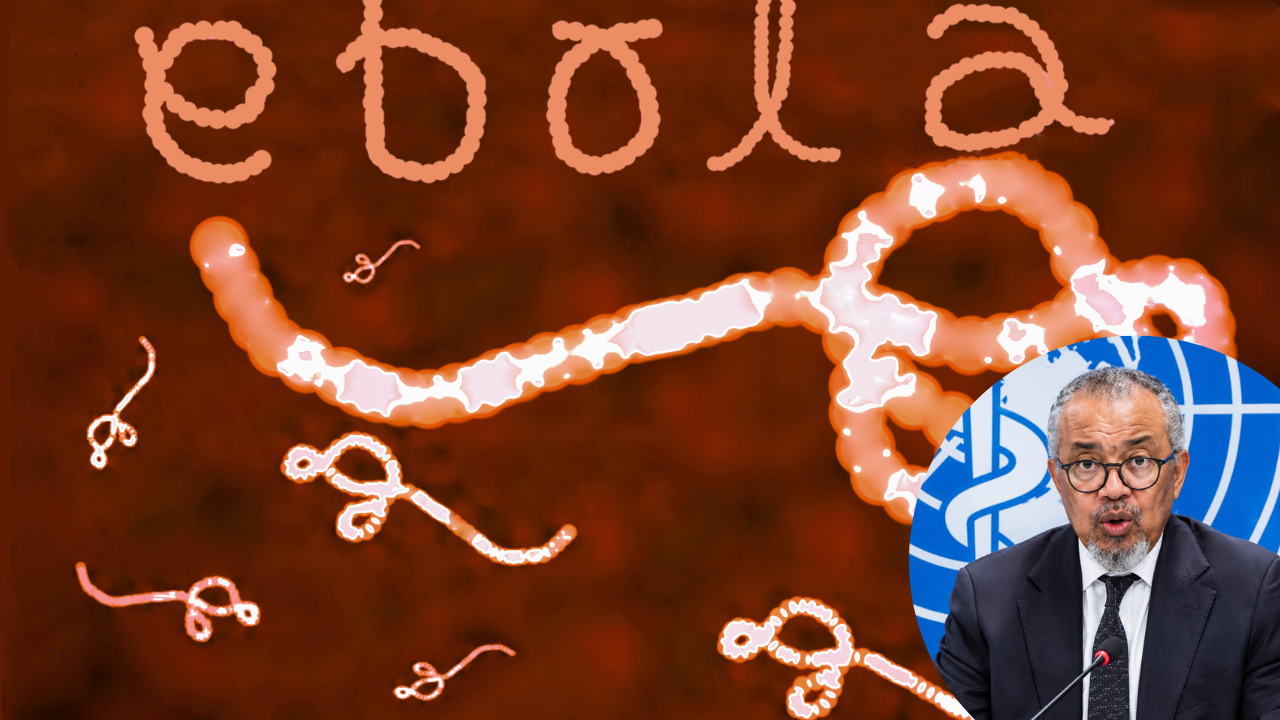 WHO says Ebola fight is catching up; expert explains science behind ...