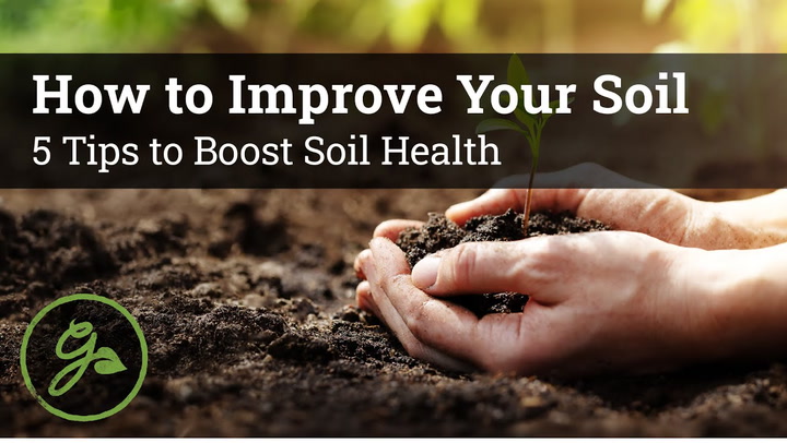 How to improve your soil / 5 tips to boost soil health