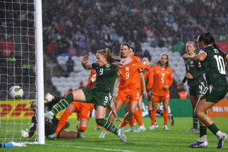 Ireland player ratings v Netherlands after sensational World Cup ...