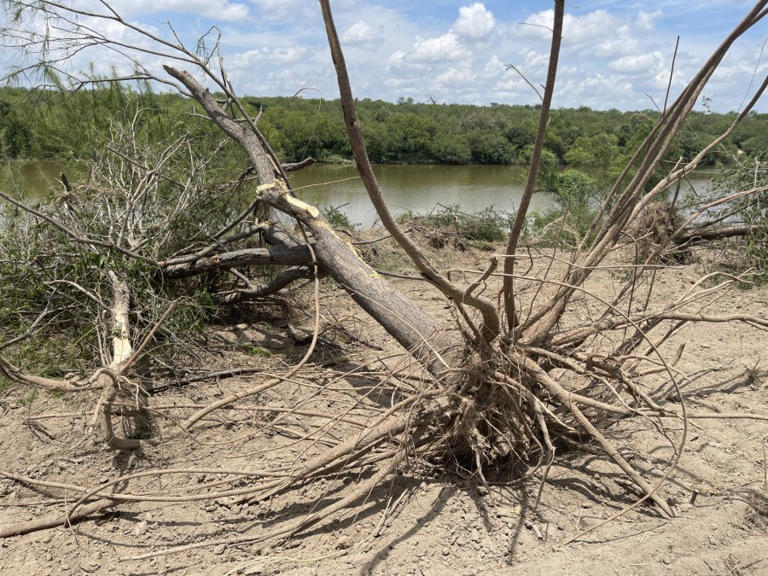 Residents 'not happy' with bulldozing of land for border wall