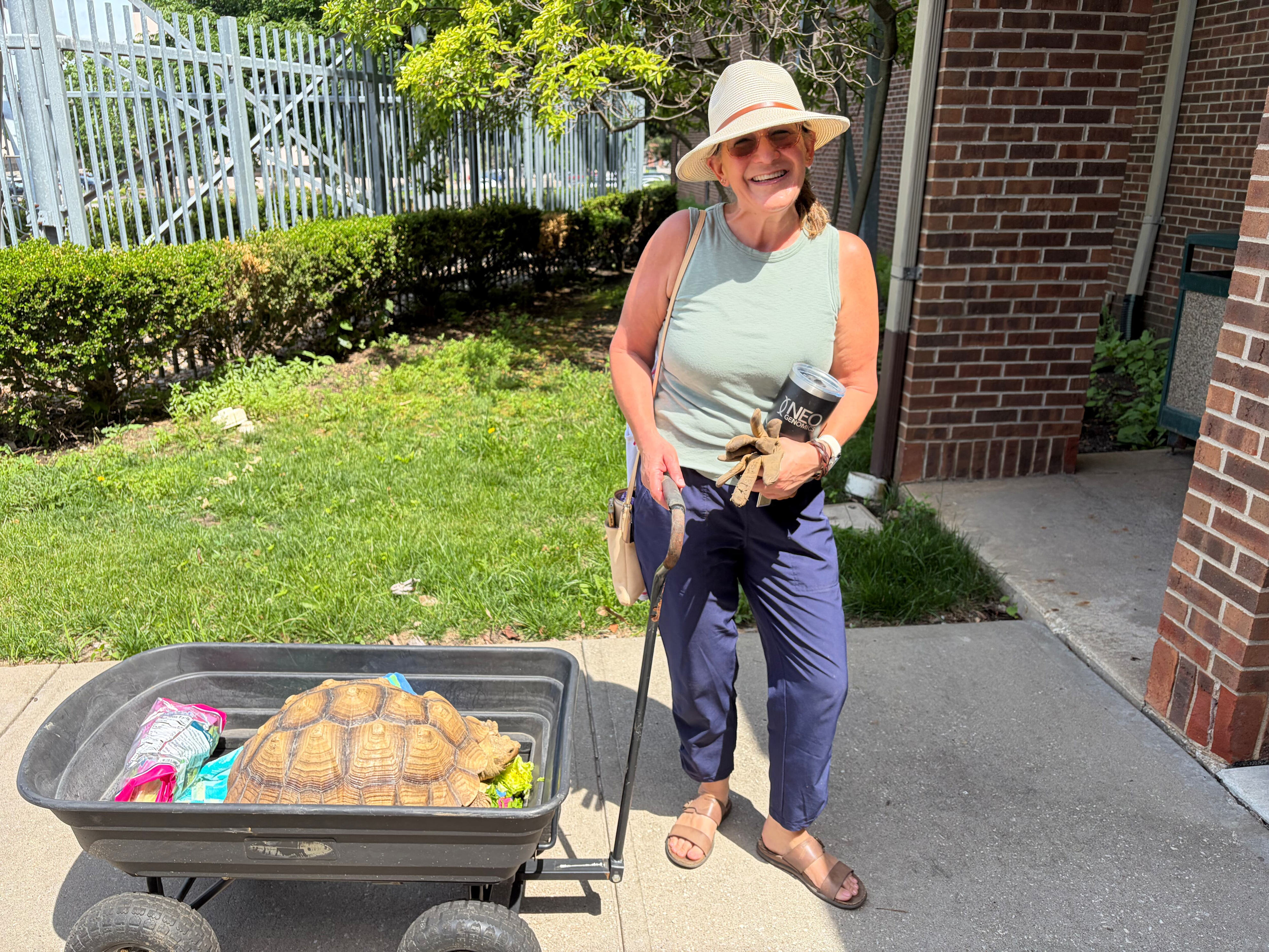 ‘Talk about bringing people together’: Liam the tortoise found after 9 days