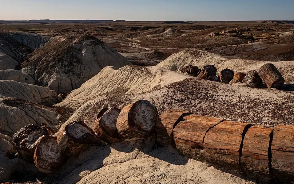 Exploring the magic of Petrified Forest National Park
