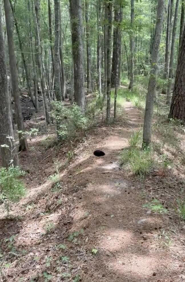 Guy sees a 'black void' in middle of hiking trail — and saves an ...