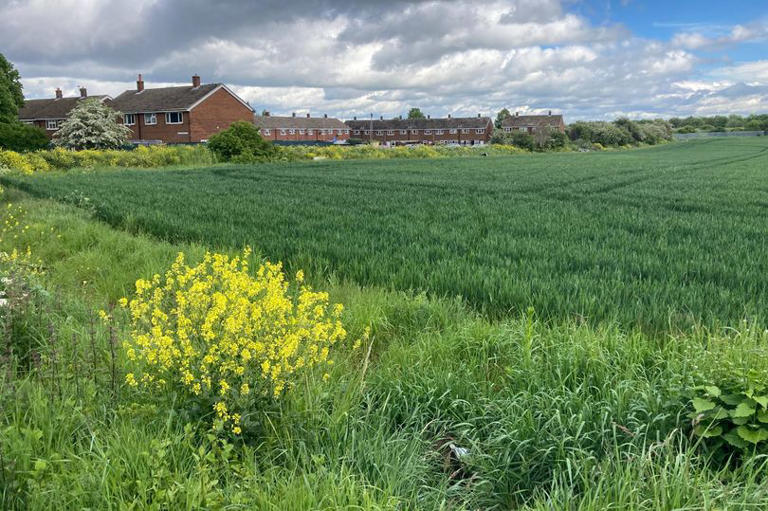 Fury over plans to expand quarry next to Yorkshire housing estate