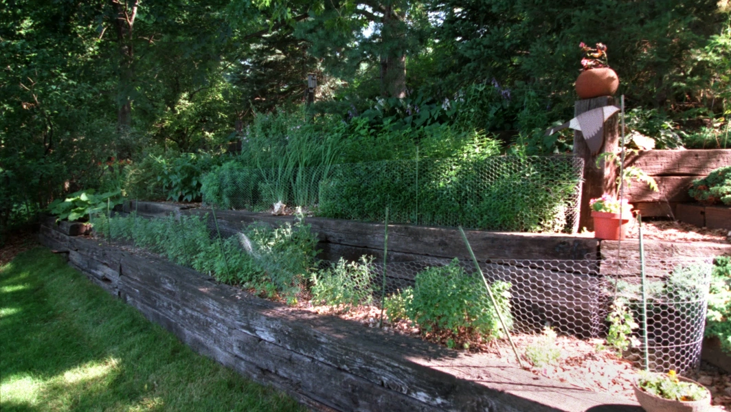 Affordable outdoor upgrades and designs fuel summer hosting trend