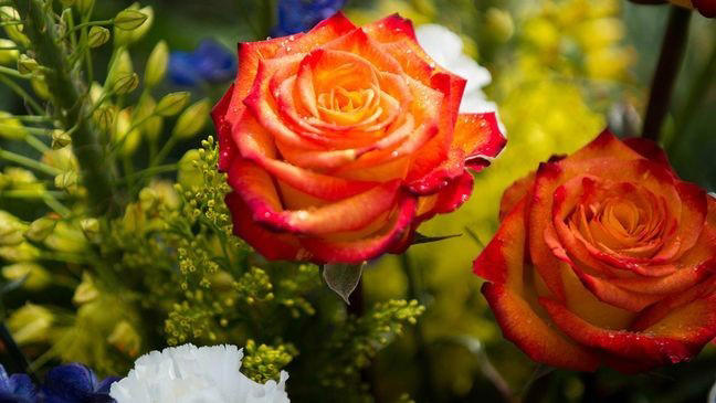 Watch | Grand Floral Starlight Parade illuminates downtown Portland on ...