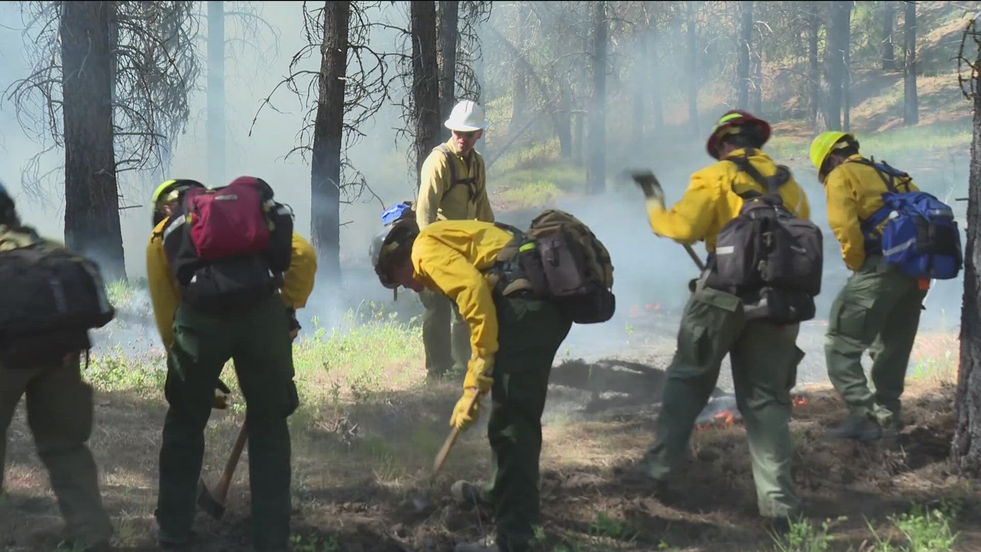 Inside the training that prepares wildland crews for wildfire season